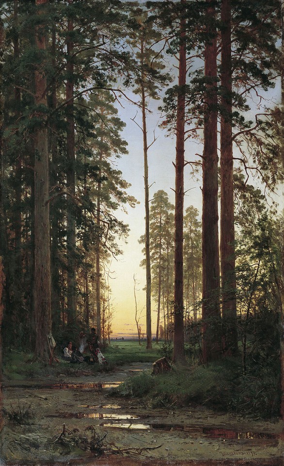 Dream-art Oil painting shishkin 希施金风景作品 日落下的松树Pine trees at sunset ...
