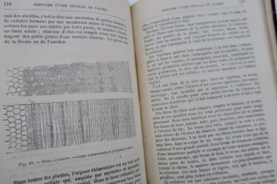 Pizzetta Story of a paper sheet 1868 | eBay UK