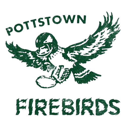 Pottstown Firebirds Football Team New Era® Flat Bill Snap Back Cap Hat ...