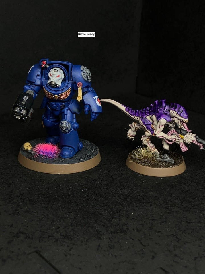 Warhammer 40K Adeptus Custodes Witchseeker Squad Pro Painted Commission ...