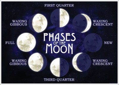 Laminated Moon Phases Mini Poster | eBay UK