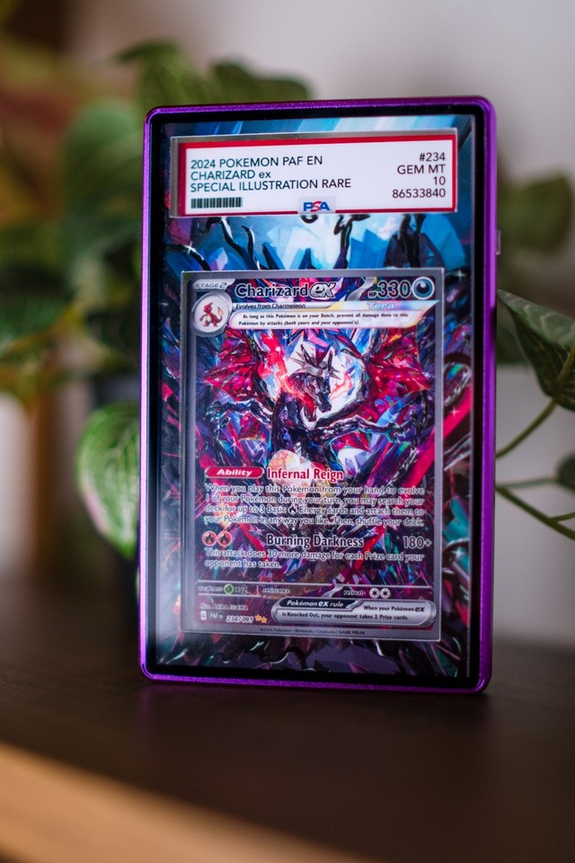 Charizard ex SIR | PSA CGC Beckett Display Case Extended Art for ...