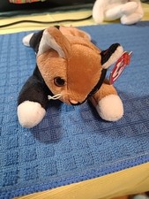 Chip the Cat - Beanie Babies - Beaniepedia