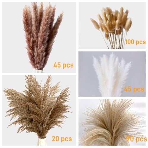 300 Pcs Dried Pampas Grass Bulk, Boho Dried Flowers Bouquet Pampas ...