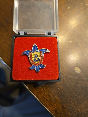 VERY COOL VINTAGE PIN | eBay