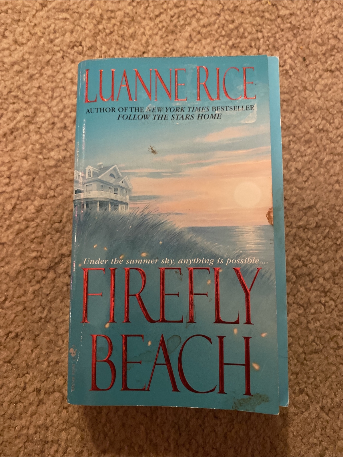 Hubbard's Point Ser.: Firefly Beach by Luanne Rice (2001, Trade ...