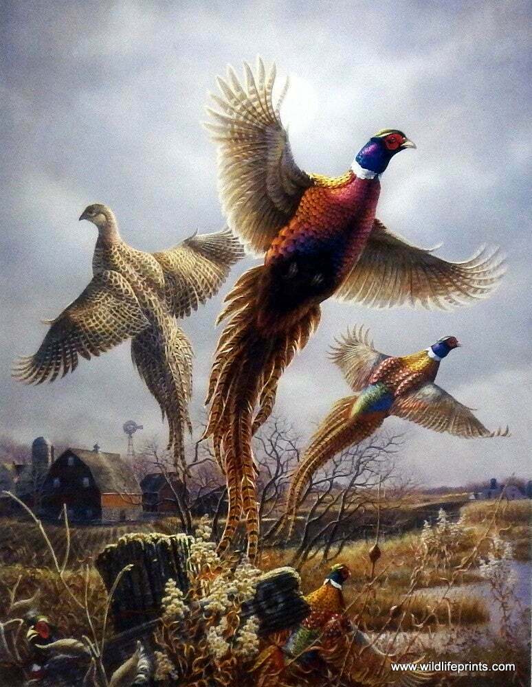 James Meger Art Laurene Meger PGPrints