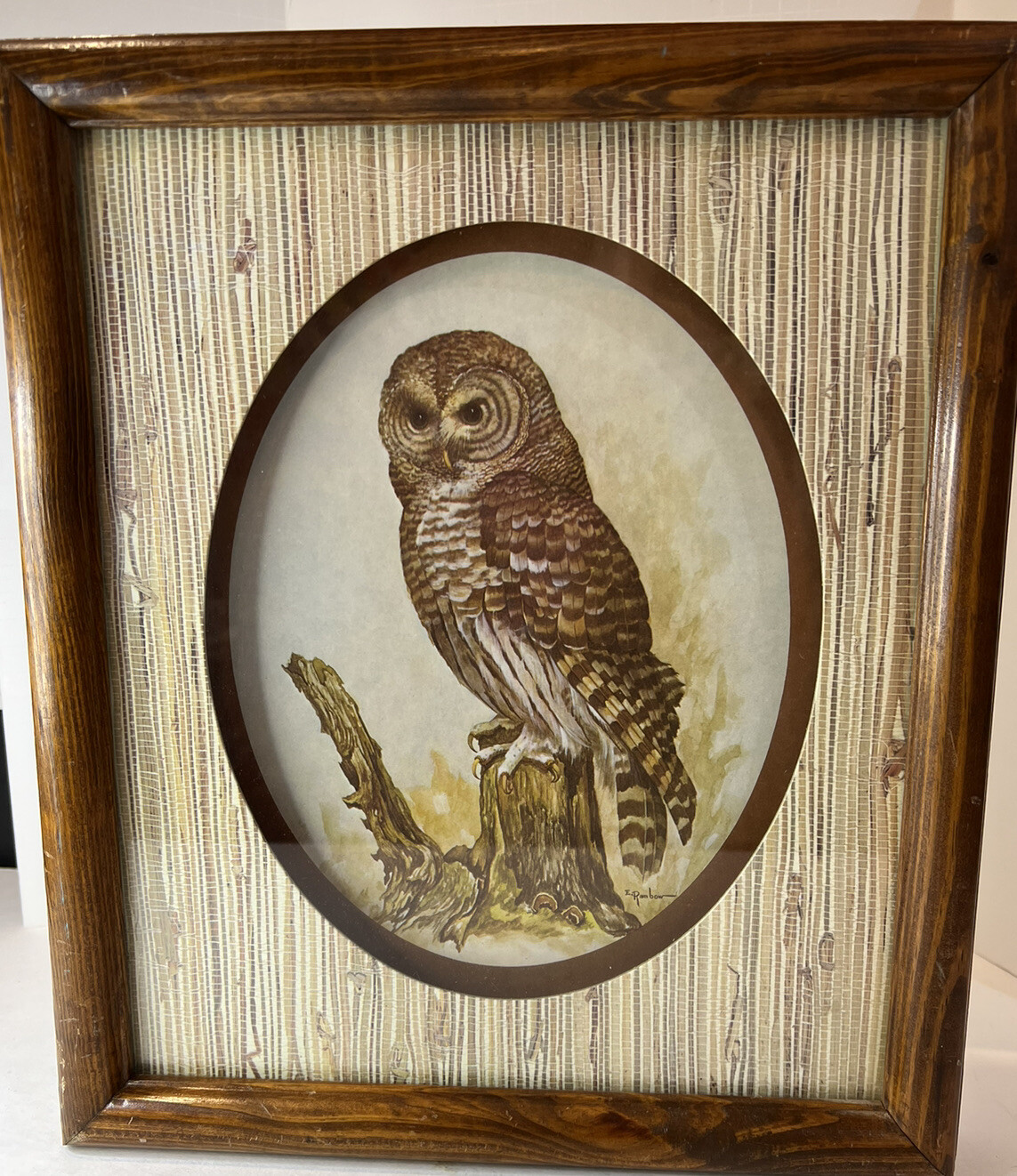 Vintage Owl Print by E. Rambow Heavy Wood Recessed Rustic Frame 13 " x ...