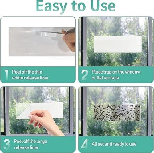 60 Pcs Window Fly Traps for Indoor/Outdoor, Insect, Bugs, & Transparent ...