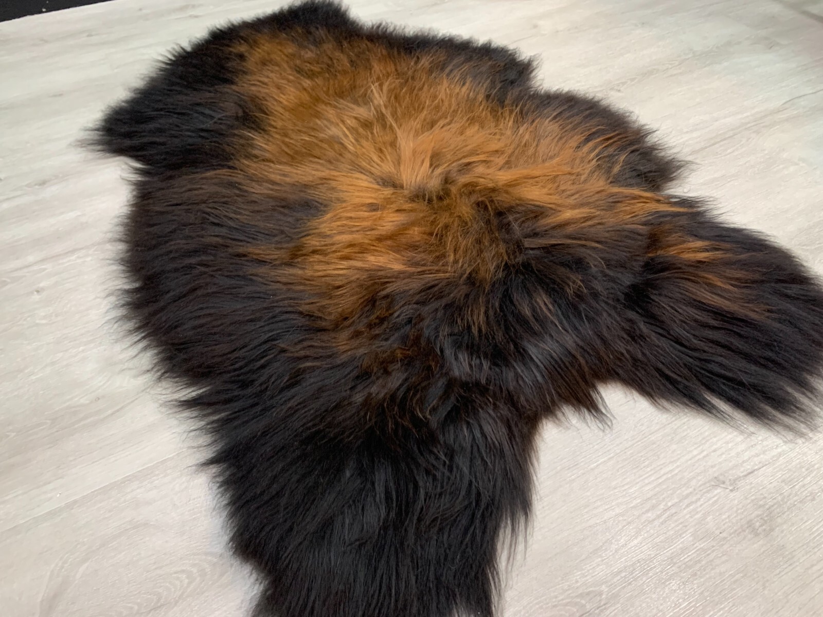XL Icelandic Sheepskin Rug Pet Bed Chair Thrown Genuine blanket Black ...