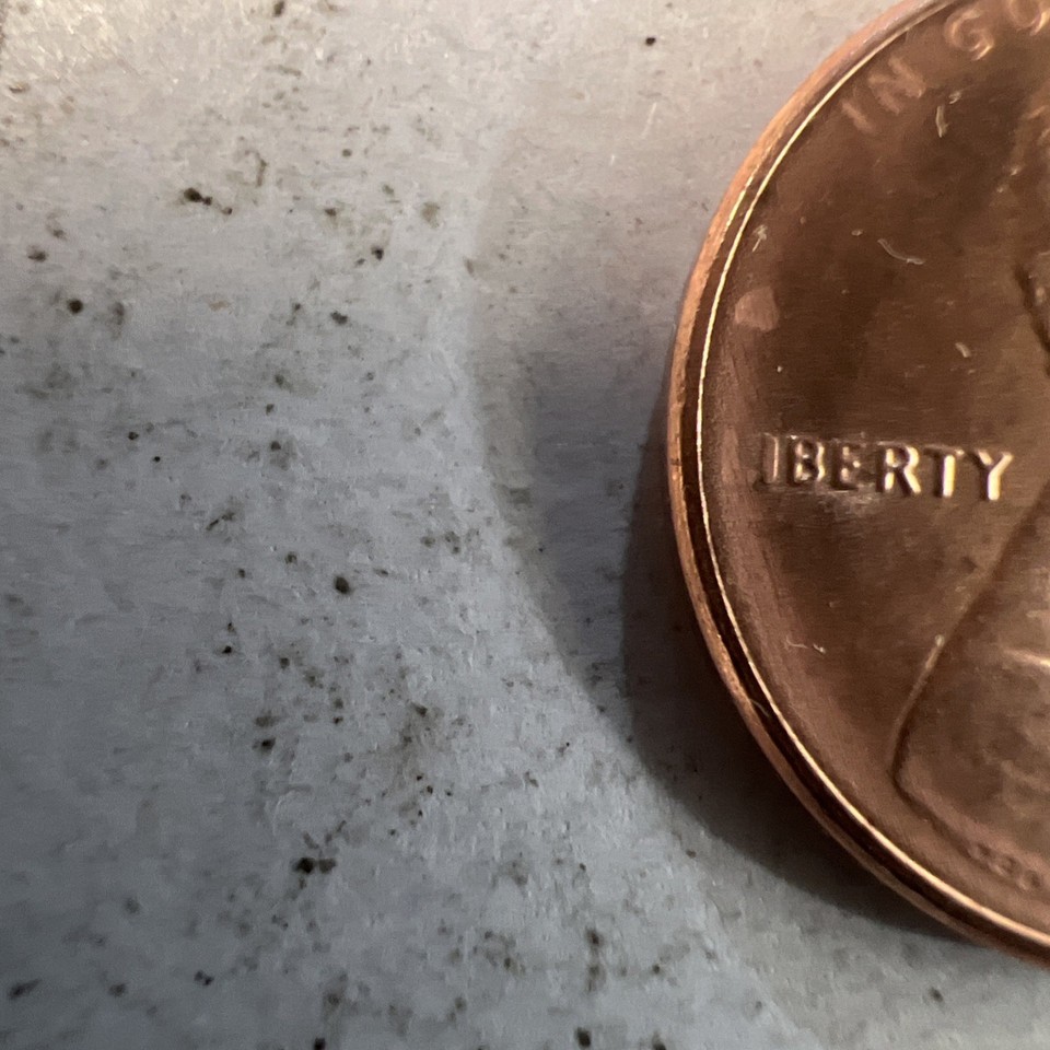 2024 P LINCOLN CENT ERROR / GREASE ON THE L / CHEAP / CHECK IT OUT ...