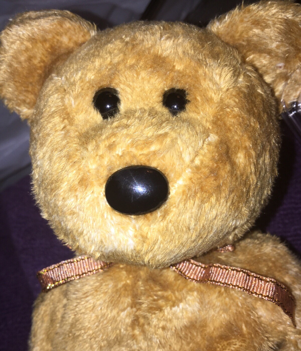 TY Beanie Baby Cashew The Teddy Bear With Tag Protector 2000 | eBay