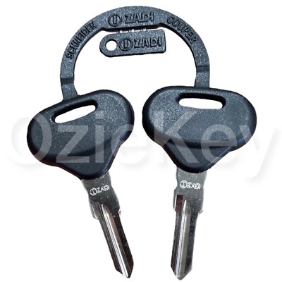 Honda SH 150i Scooter Uncut Pair Blank Key | eBay Australia