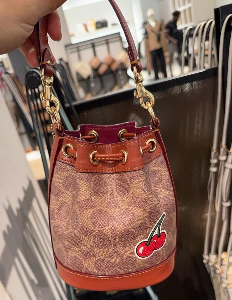 NWT Coach Mini Bucket Bag In Signature Canvas CR145/CW301/CX213 | eBay