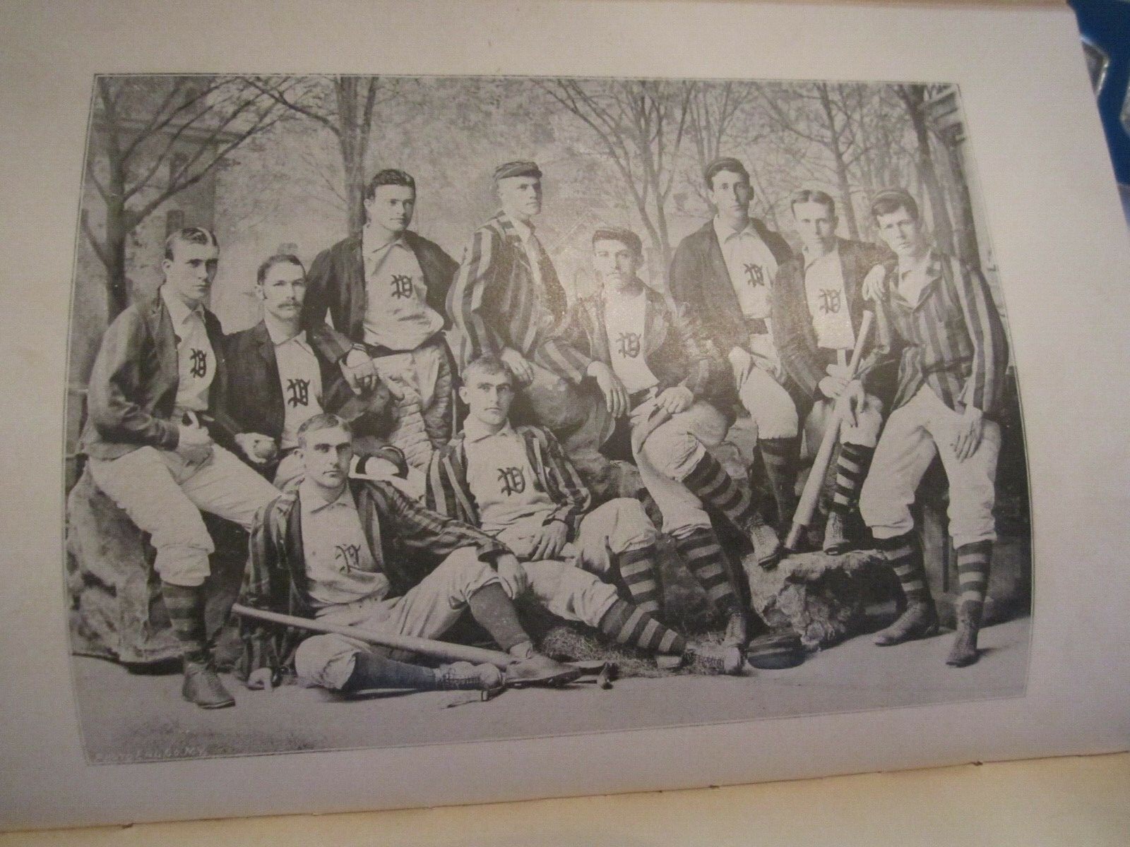 1888 PRINCETON COLLEGE YEARBOOK - SPECTACULAR FIND - BELONGS IN A ...