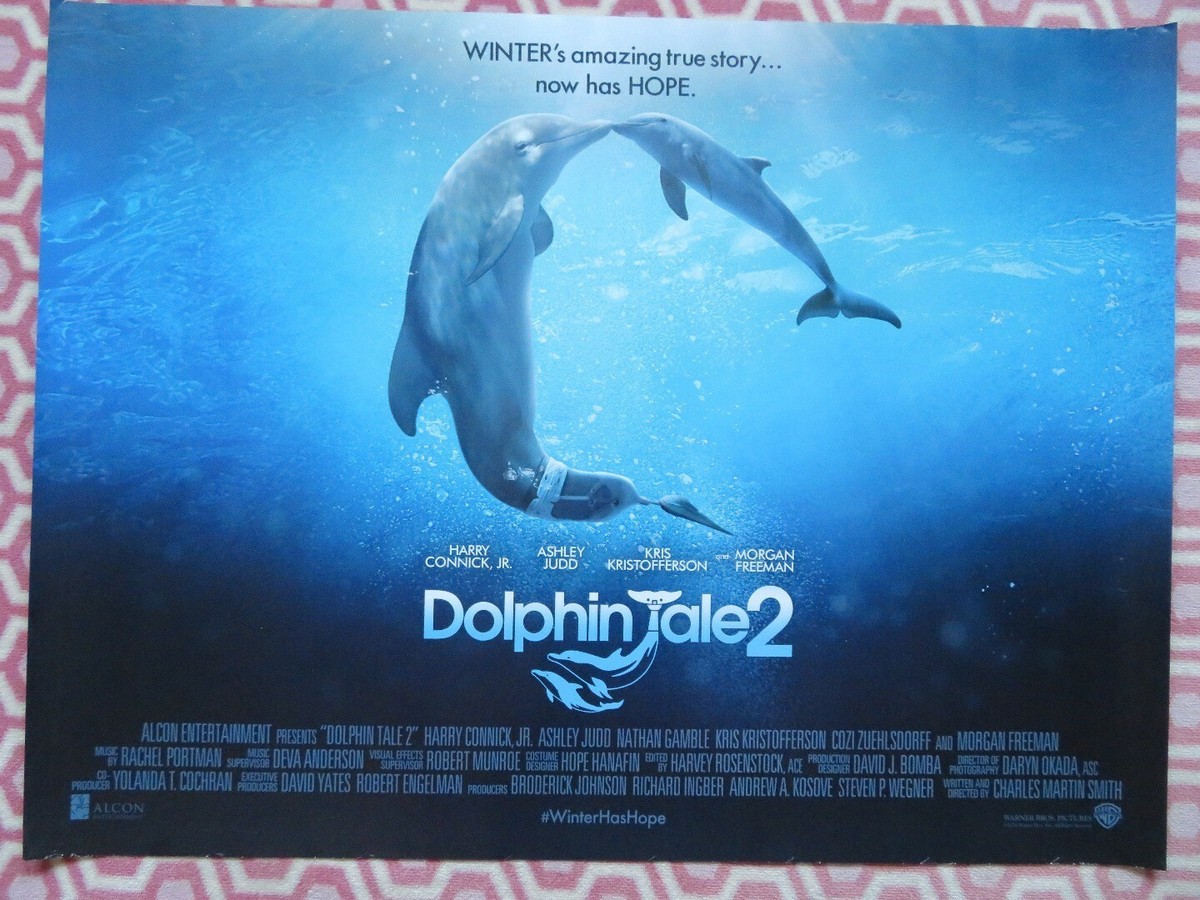 Dolphin Tale 2 Hope Florida Aquariums Feature Underwater Stars