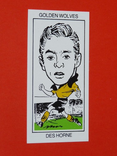 WEST MIDLANDS CARD FOOTBALL 1989 GOLDEN WOLVES WOLVERHAMPTON #22 DES ...