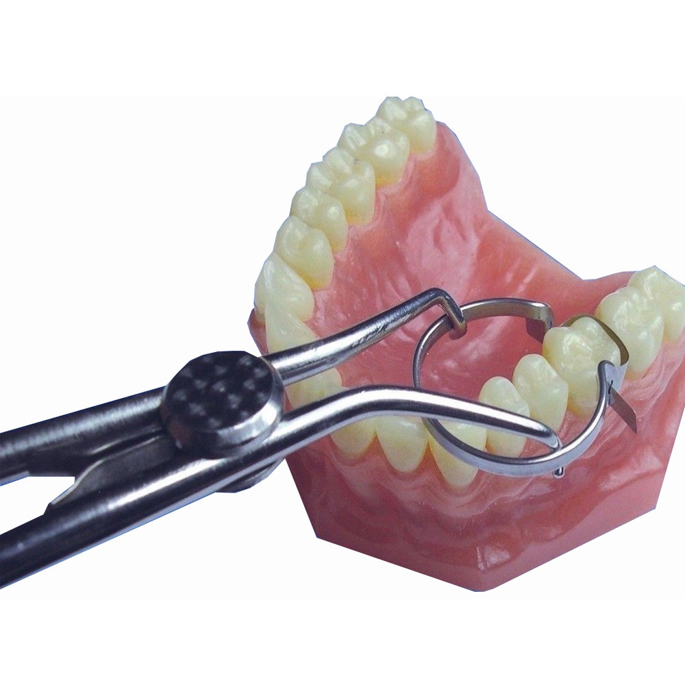 RS Dental Forceps Sectional Matrices Matrix Wedges Installation Tool ...