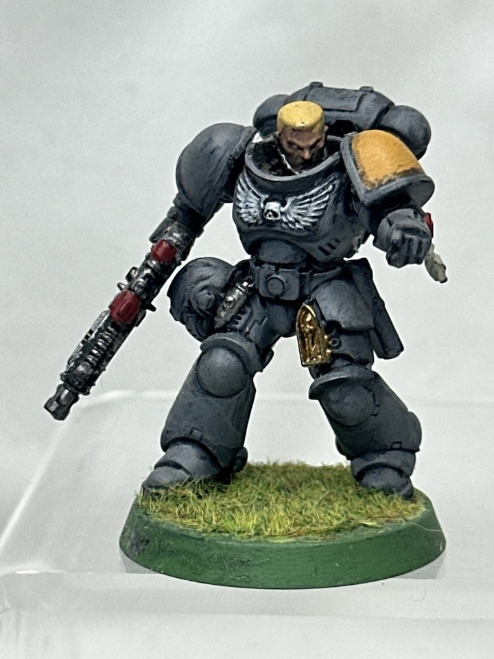 Warhammer 40k Primaris Space Wolves Intercessors Kill Team Pro Painted ...