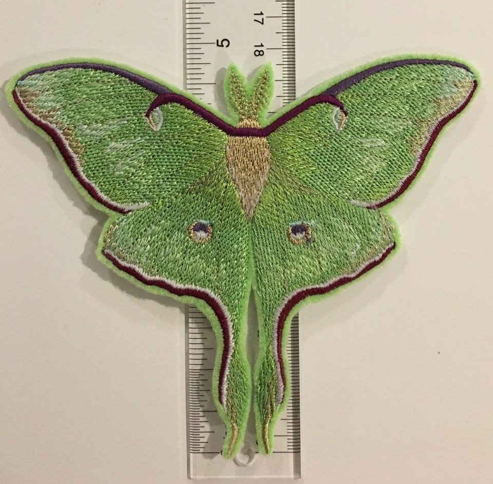 GLOW in DARK Large 6” Inch Embroidered Luna Moth IRON ON Patch | eBay