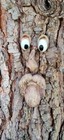 Tree Face Outdoor Decoration Old Man Bark Art Ornaments Hand-Painted ...