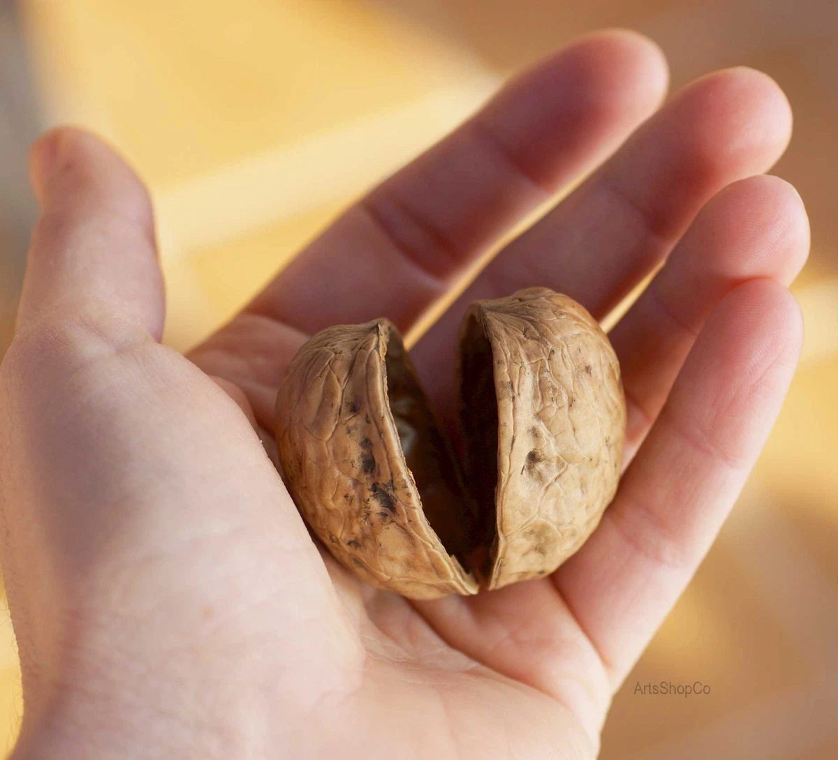 Walnut Shell Halves