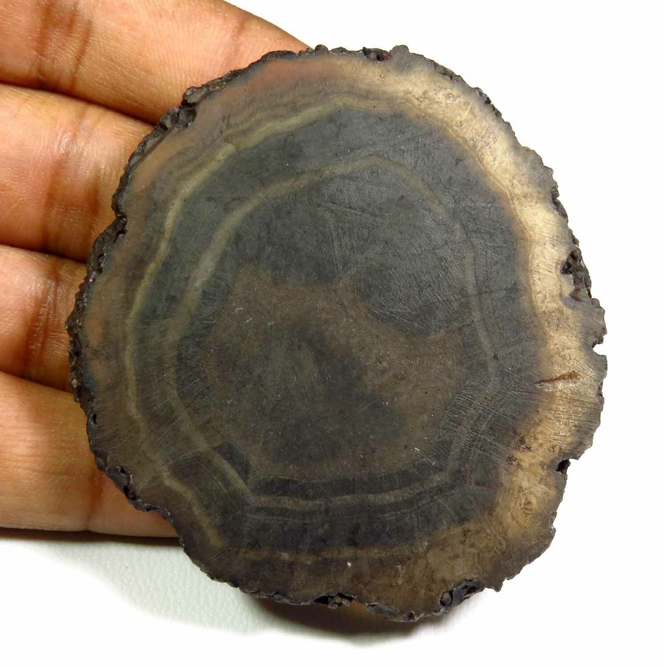 Natural Geode Slice Agate Gems Slice 75-417 Cts Smooth Polished ...