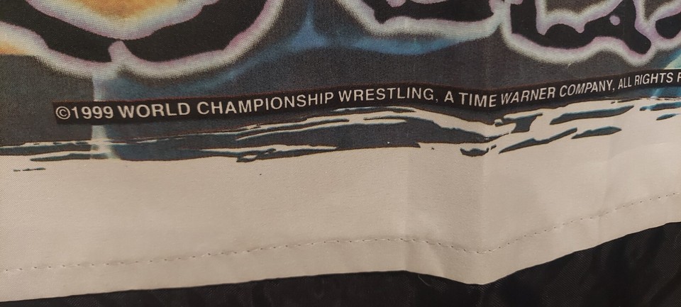 Vintage Hollywood Hulk Hogan WCW nWo banner 28" X 42" | eBay