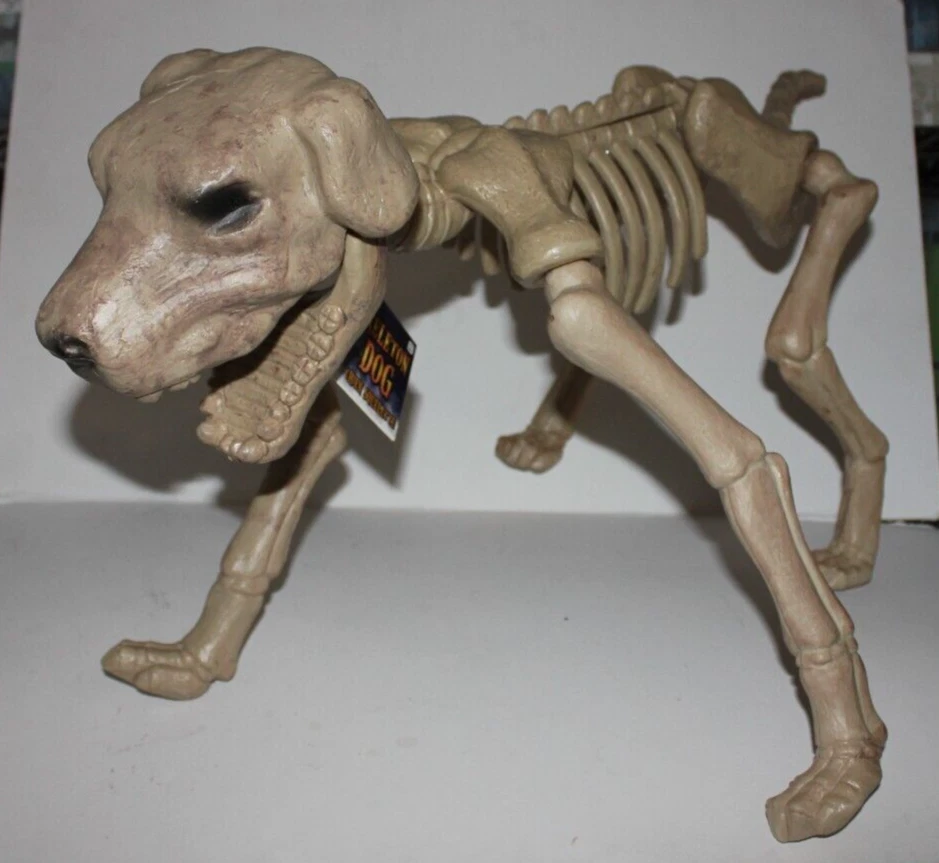 Dog Skeleton Halloween
