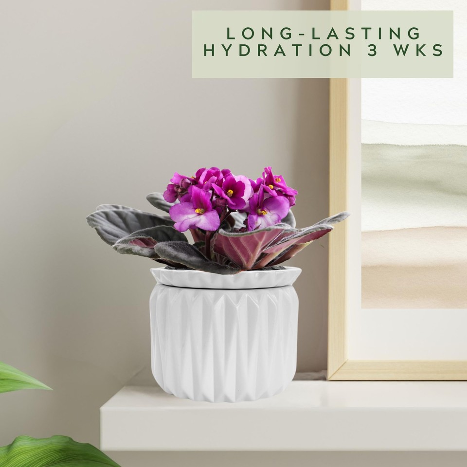 6 inch Self Watering Pot for Indoor Plants, African Violet Pot Ceramic ...