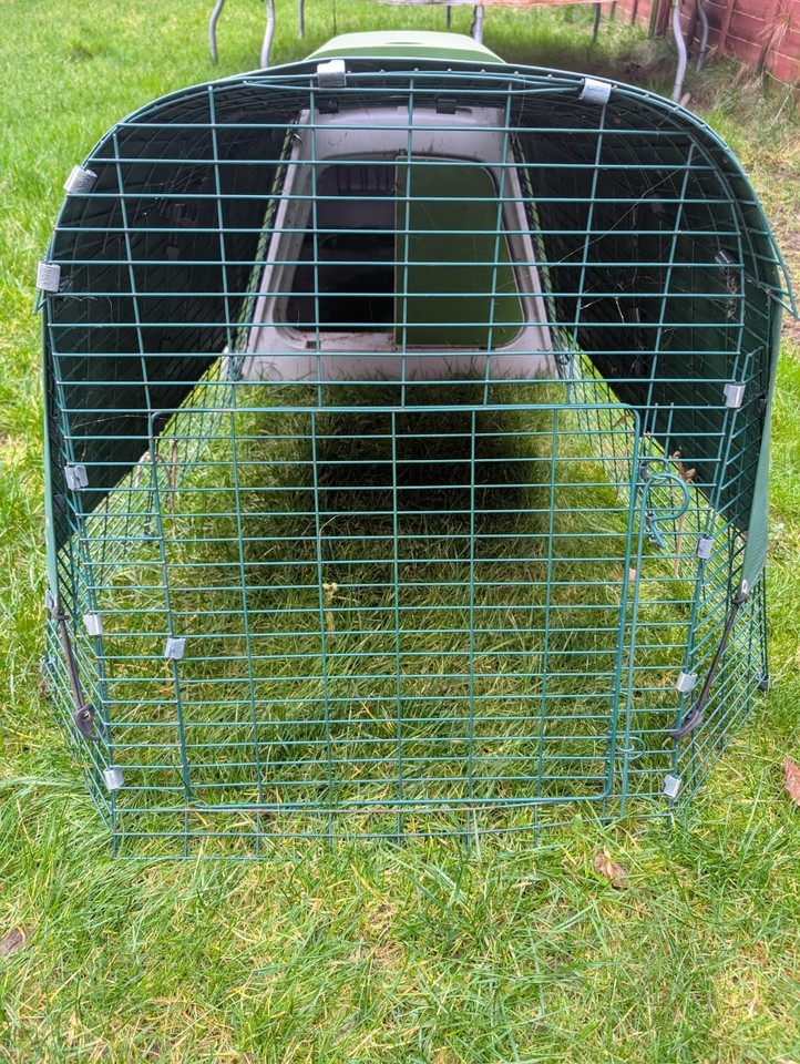 Omlet Eglu Go Hutch 1 Metre Run Plus Accessories For Guinea Pigs Or ...