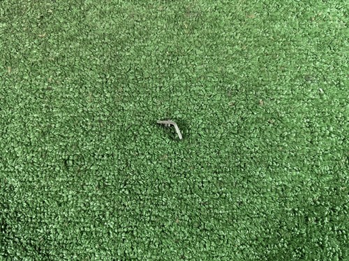 Marlin Model 80DL .22 LR Magazine Latch with Screw | eBay