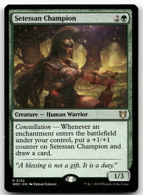 Setessan Champion #132 (NM) Wilds of Eldraine WOC Magic MTG | eBay