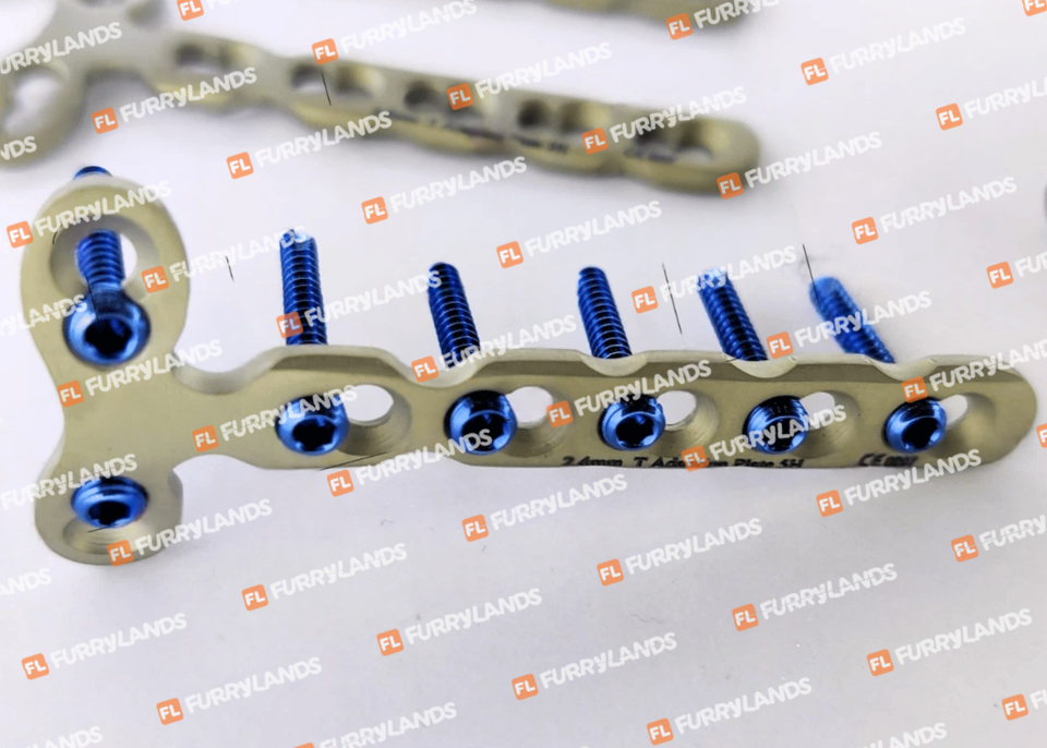 2.7mm Safety Locking T Adaption Plates 3–7 Holes with Screws – 72 Pcs ...