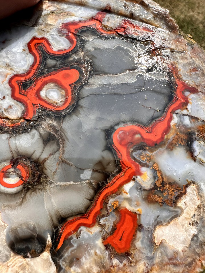 6 1/2 INCHES__Beautiful Imperial Kentucky Agate Slab from Estill County ...