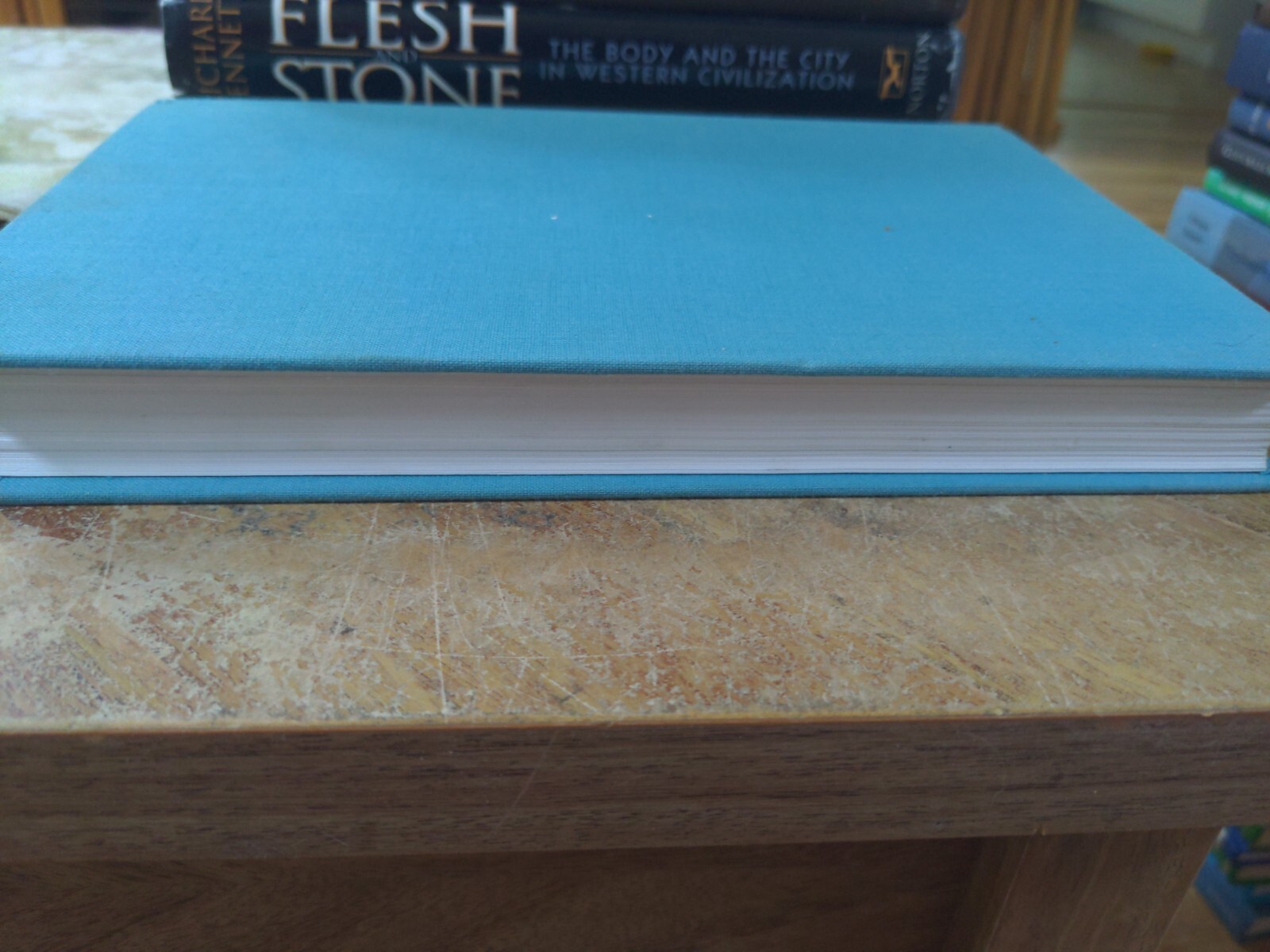 Recent Developments in Parkinson's Disease by Stanley Fahn | eBay