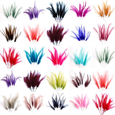 Narrow Feathers - Rooster Neck Hackle 6 Wired Stem Spray 18 Feathers ...