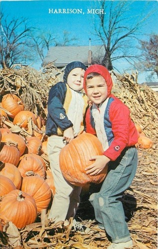 Harrison Michigan~Boys with Pumpkins~One Almost As Big As Him 1950s ...