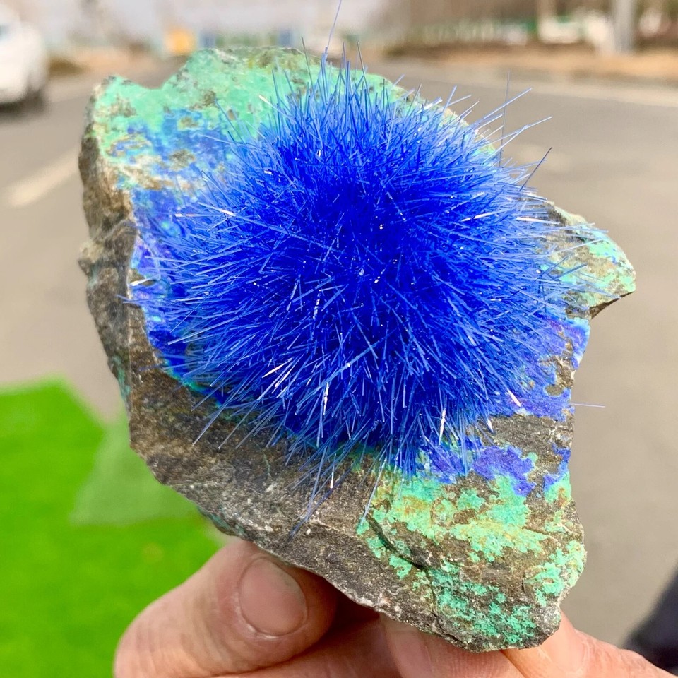 50-80g Blue Dandelion Zeolite Quartz Crystal Healing Cluster Mineral ...
