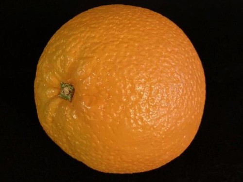 Food Sample Orange | eBay