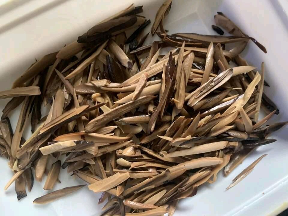 Premium Nigerian Ugba – African Oil Bean Seed – Retail & Bulk – FOB ...