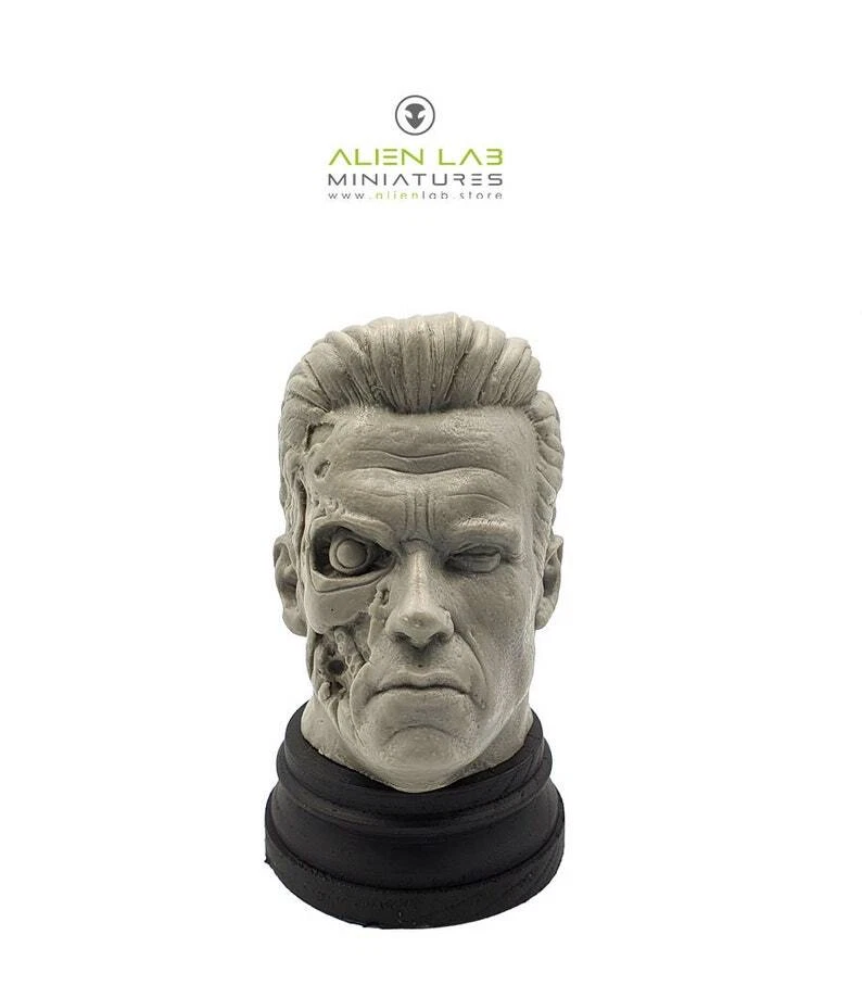 Original Terminator Head