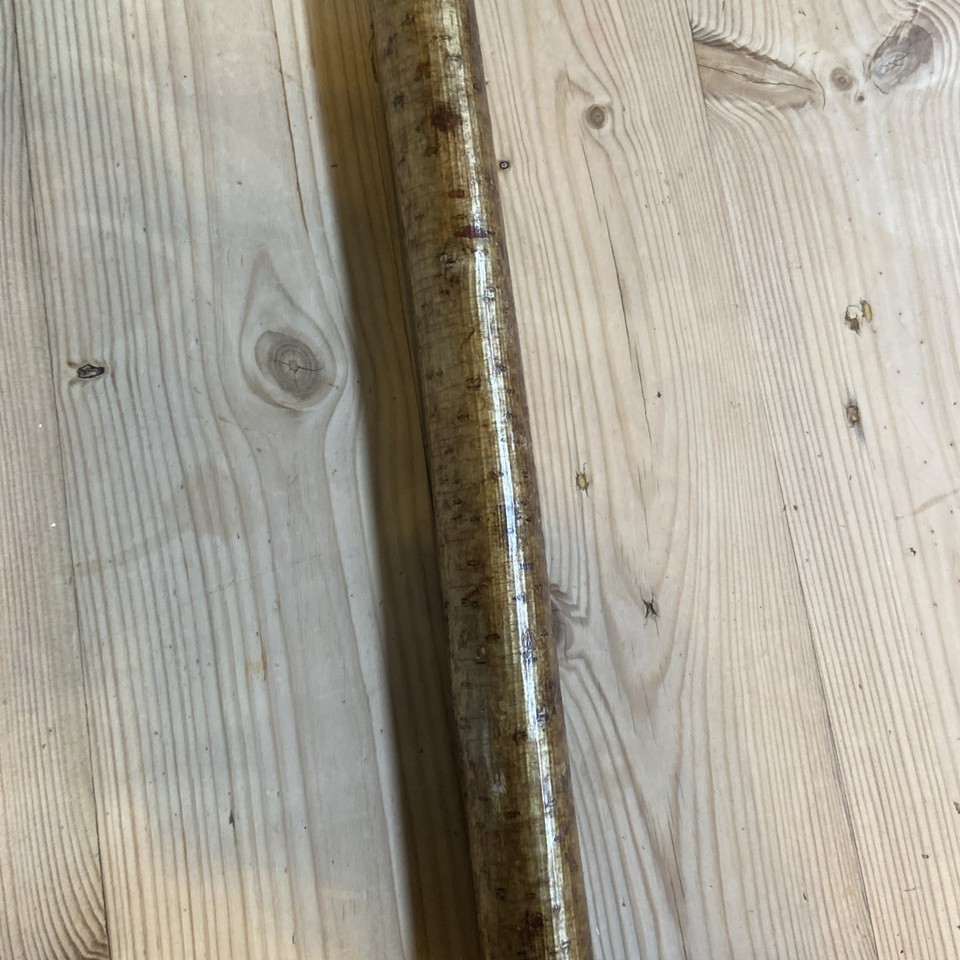 Vintage Hazel Wood Walking Stick Cane – Natural Shillelagh Style ...