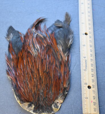 Lot 115, Natural India Rooster Streamer Neck Cape Feathers Fly Tying | eBay