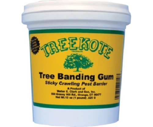 (6) ea Treekote 300716 15 oz Tree Banding Gum Sticky Insect Pest ...