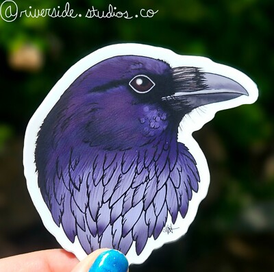 American Crow Vinyl Sticker 3" Original Art Bird Animal | eBay