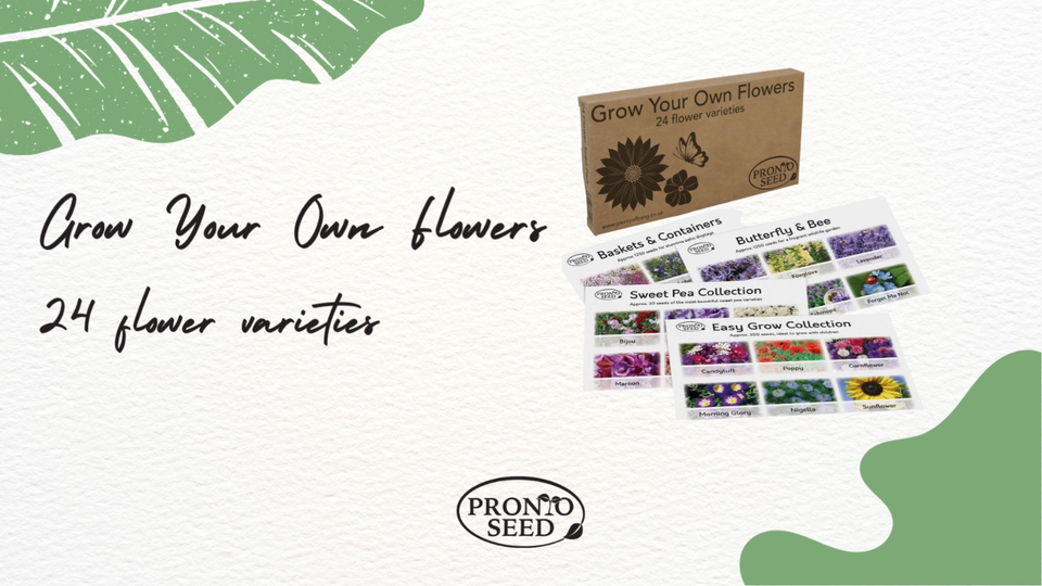 Flower Seeds UK | 24 Varieties | 3100 Seeds | Gardening Gifts Women ...