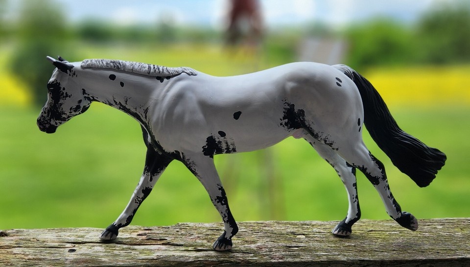 Custom Breyer CM Traditional Roxy American Quarter Horse Paint AQHA ...