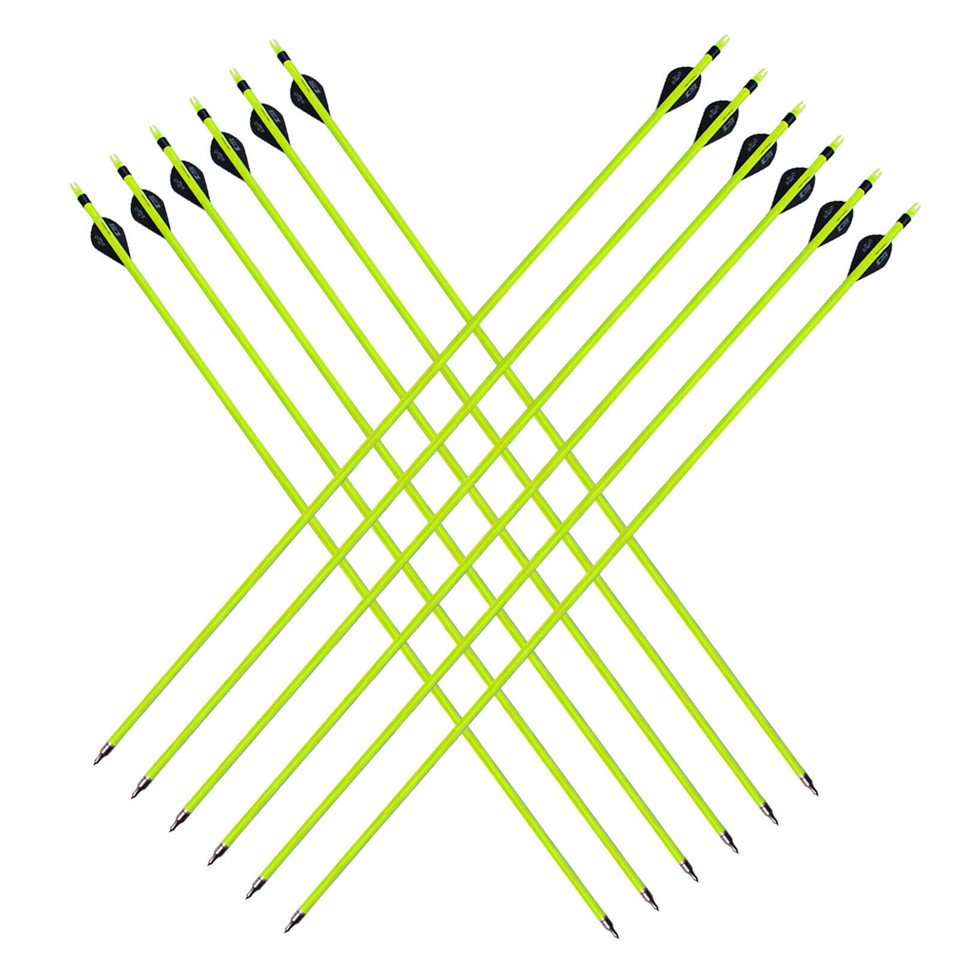 31" Pure/Mixed Carbon Arrows 2" Vane Spine 350-500 Compound Recurve Bow ...
