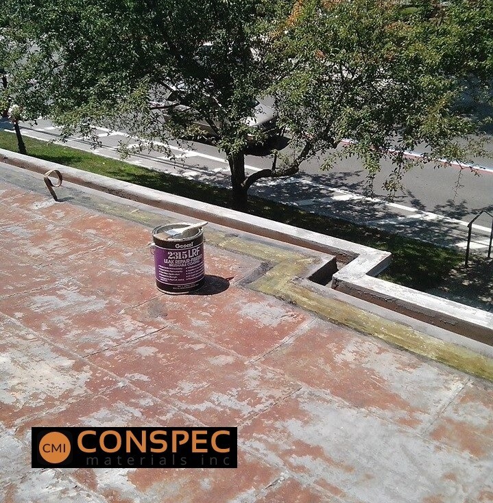 Geocel 2315 LRF Sealant CLEAR 1 (Quart) Brushable Roof Leak Crack ...